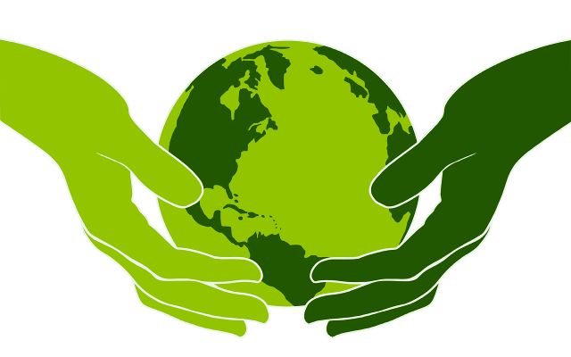 DDS Meio Ambiente - DDS Prontos